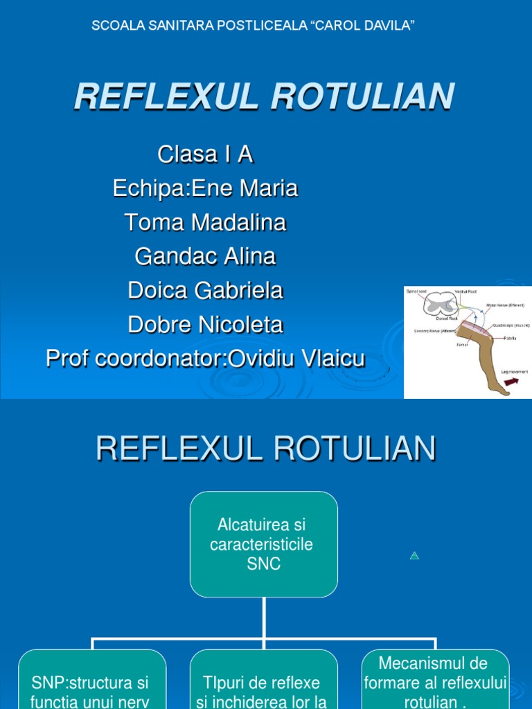 Reflexul Rotulian | PDF