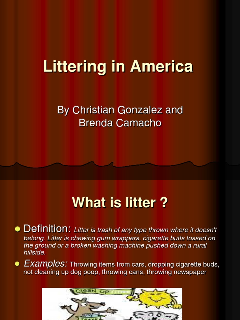 Understanding Littering in America | PDF