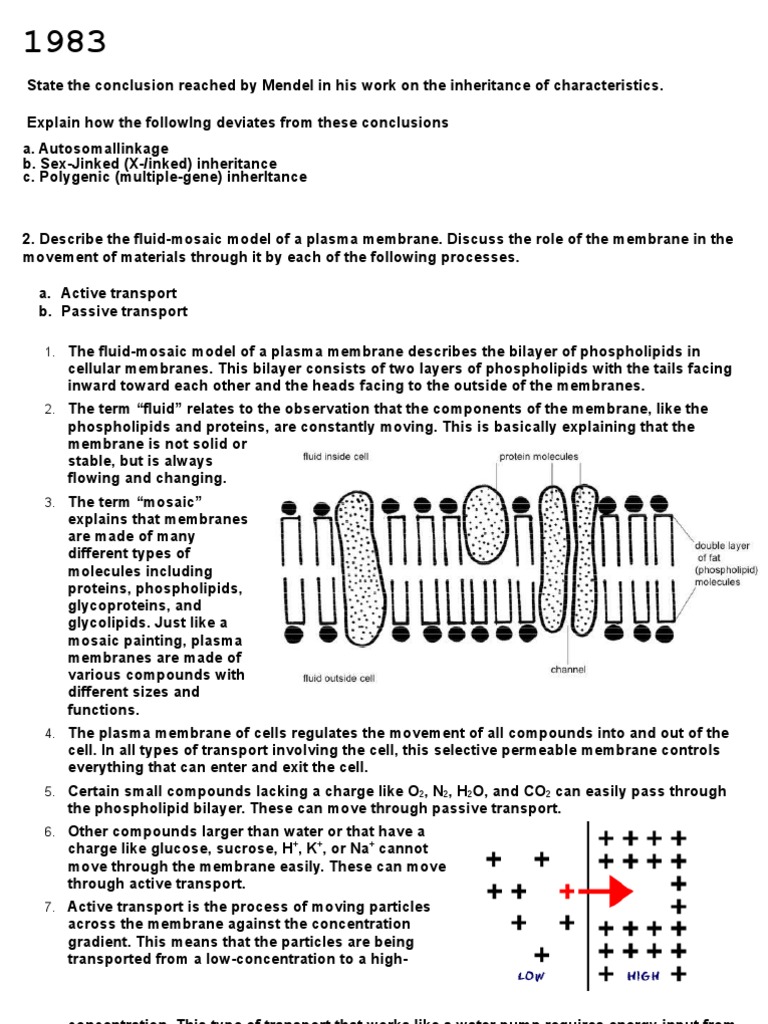 AP Bio Essay 1983 | PDF | Cell Membrane | Osmosis