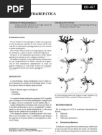 Escala de Ripasa | PDF | Enfermedades digestivas | Rtt