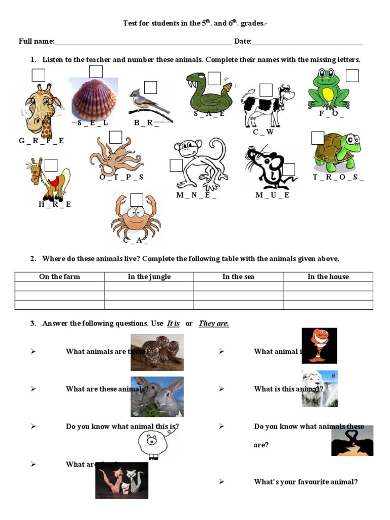 Animals Plural and Singular Forms | PDF | Syntax | Linguistic Typology