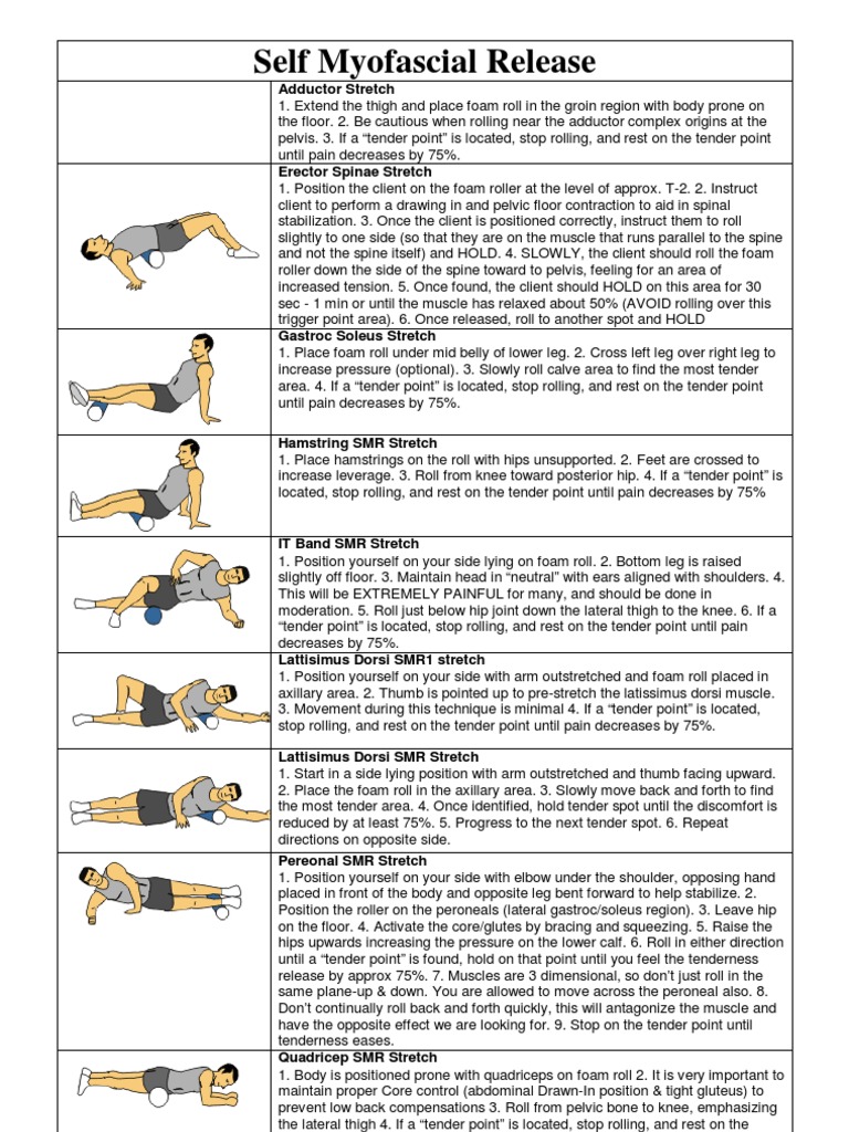 Self Myofascial Release | PDF | Pelvis | Human Leg