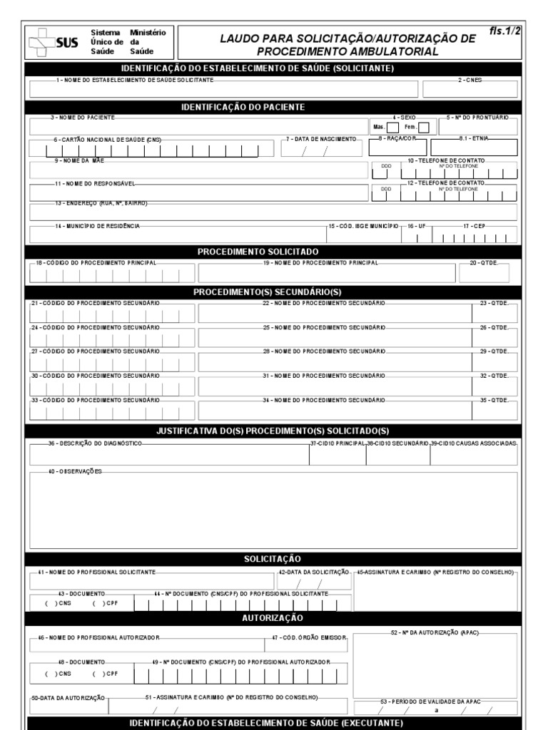 01-Laudo APAC Geral | PDF