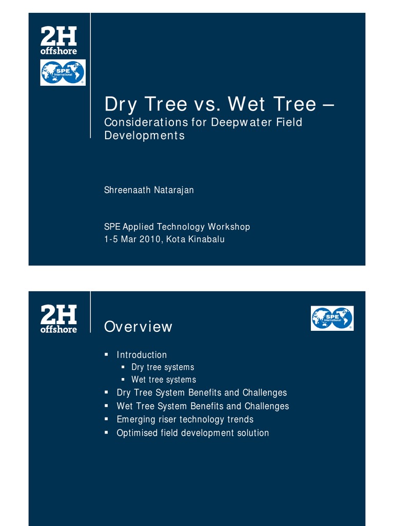 5020-SPE ATW-Dry Tree Vs Wet Tree Considerations For Deepwater Field ...