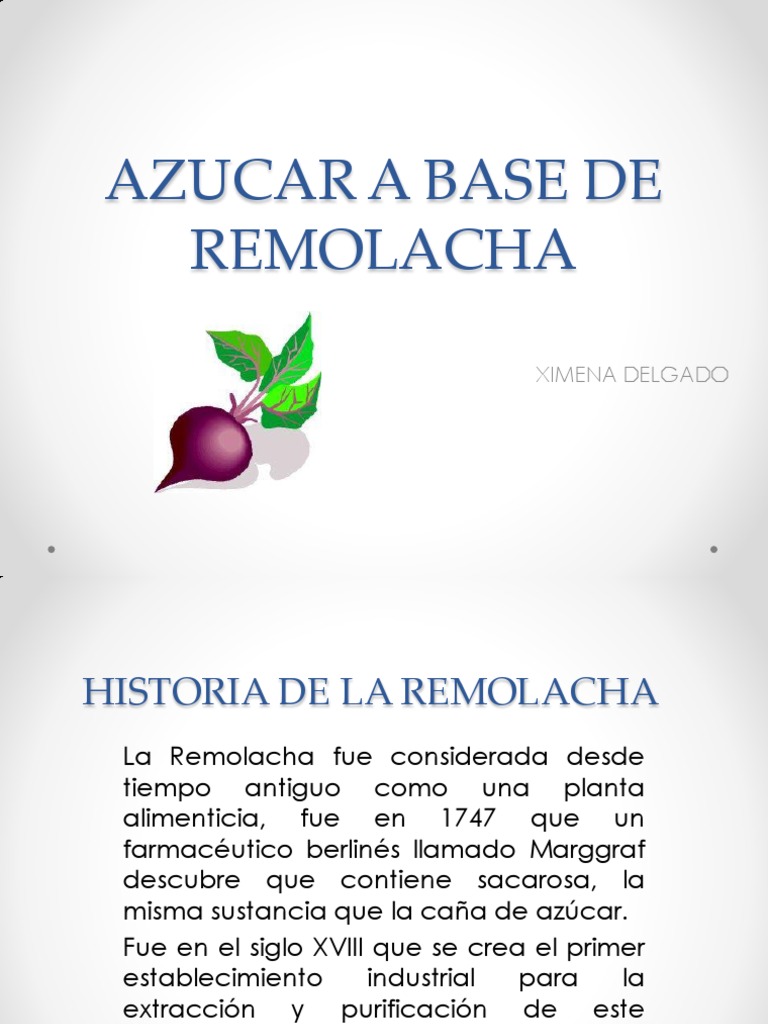 Azucar A Base de Remolacha | PDF | Remolacha azucarera | Sacarosa