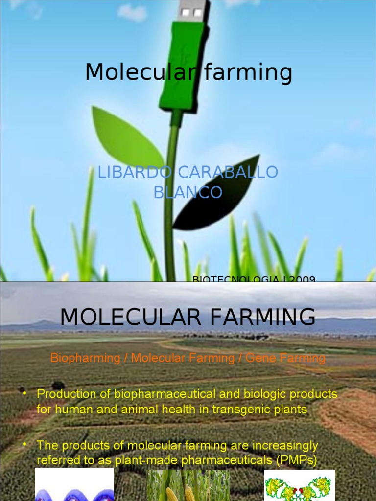 Molecular Farming | PDF | Vaccines | Life Sciences