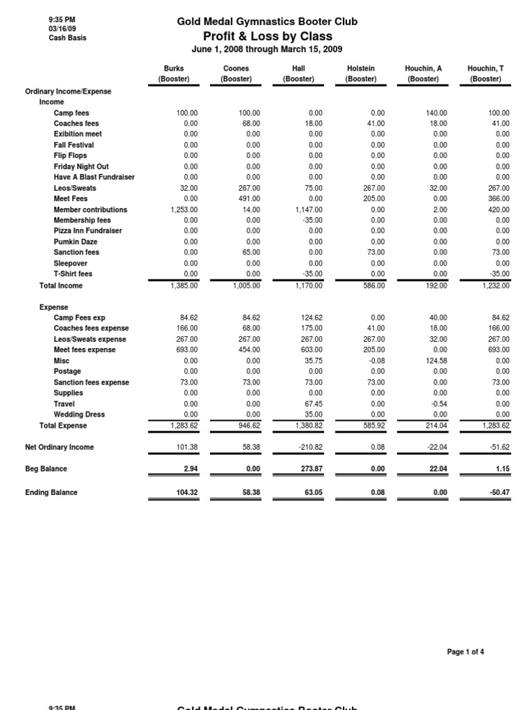 Gold Medal Accounting As of 3-15-09 | PDF