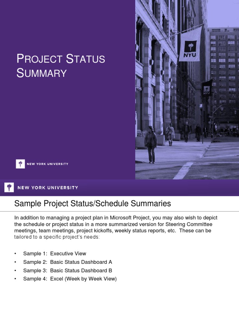 Project Status Deck | PDF | Business | Computing