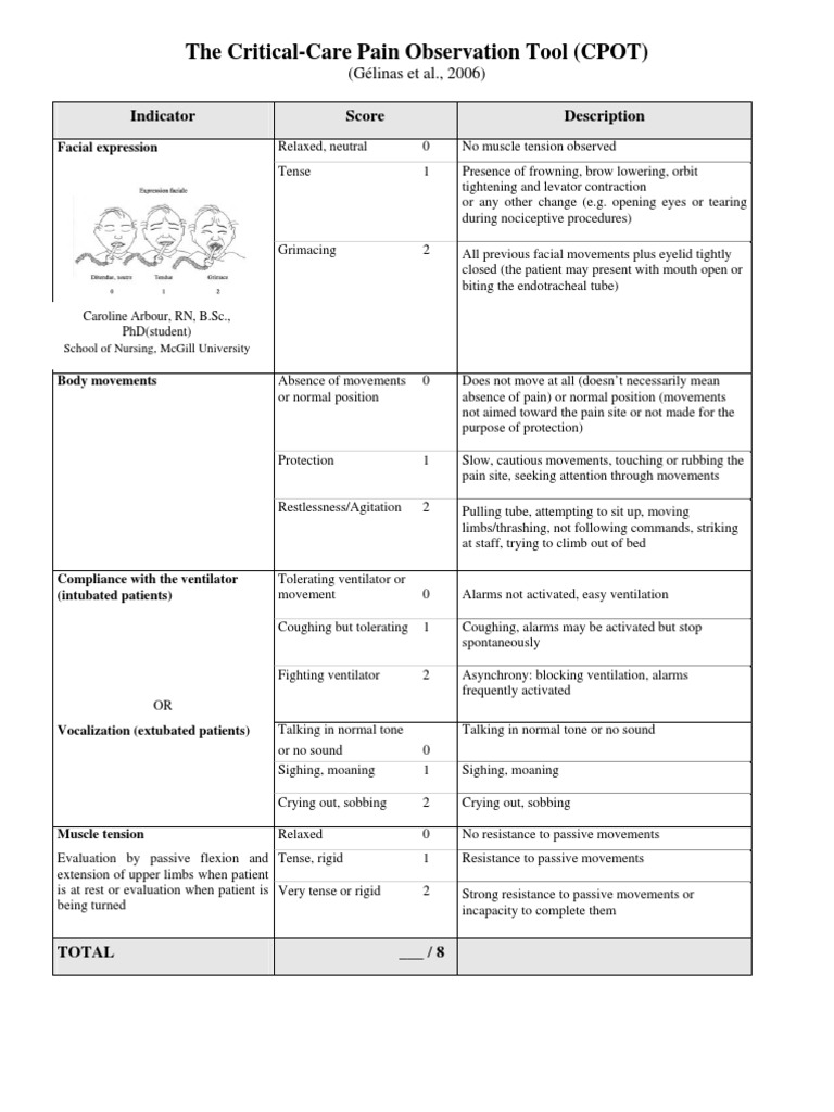 The Critical-Care Pain Observation Tool (CPOT) : Indicator Score ...