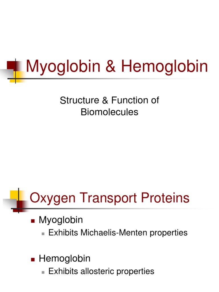 Myoglobin & Hemoglobin: Structure & Function of Biomolecules | PDF ...