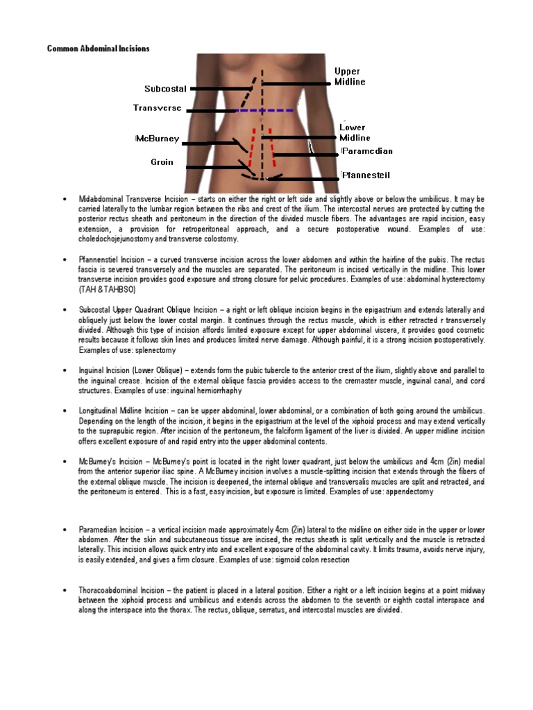 Common Abdominal Incisions | PDF | Abdomen | Human Anatomy