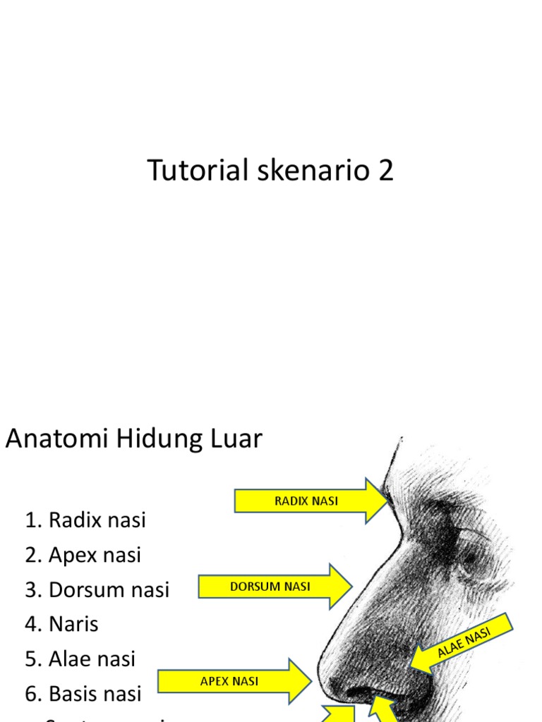 Tutorial Skenario 2 Osny | PDF