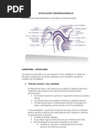 Articulaciones Cabeza y Cuello | PDF | Articulación | Cráneo