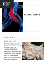 Goniometry Landmarks | PDF | Anatomical Terms Of Motion | Anatomical ...