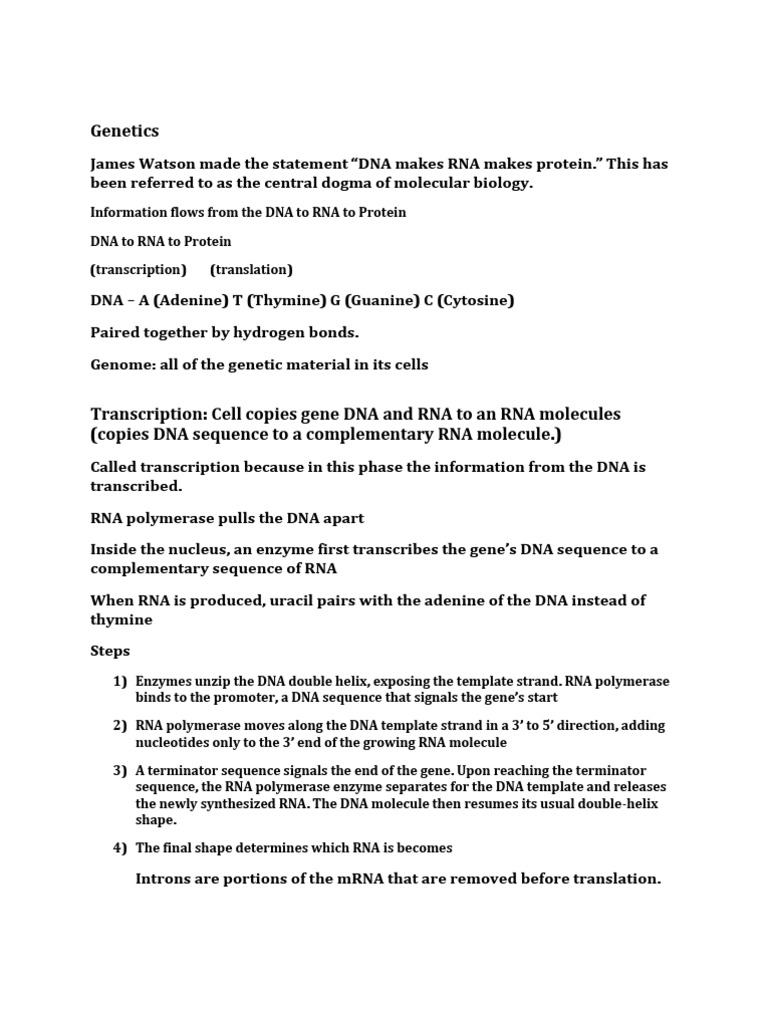 Genetics Module 4 | PDF | Rna | Meiosis