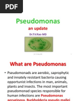 Biochemical Test and Identification of Pseudomonas Aeruginosa | PDF ...