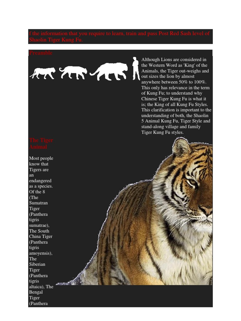 Shaolin Tiger Style | Chinese Martial Arts | Tiger