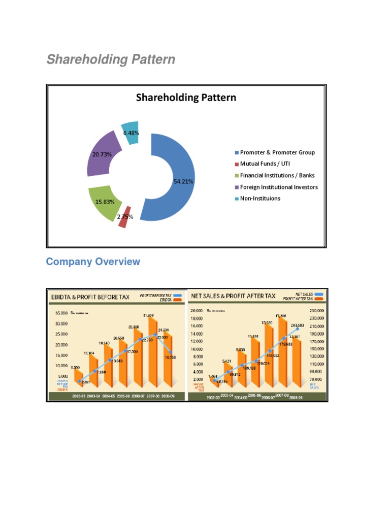 Shareholding Pattern | PDF | Dividend | Deferred Tax