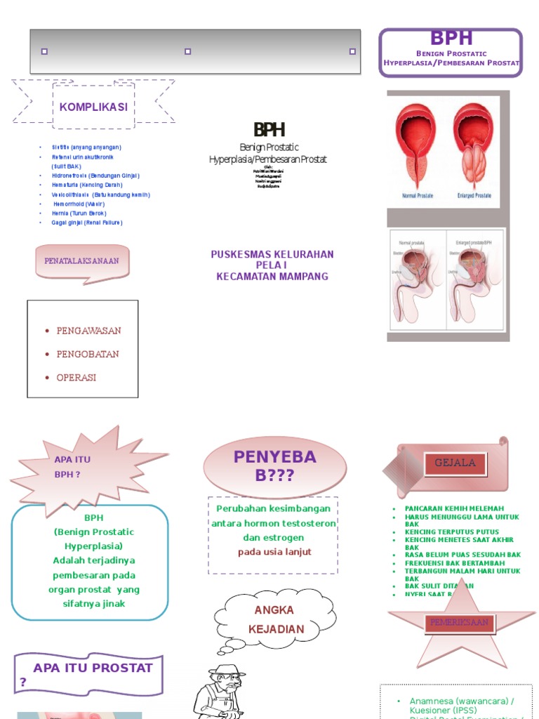BPH Leaflet | PDF