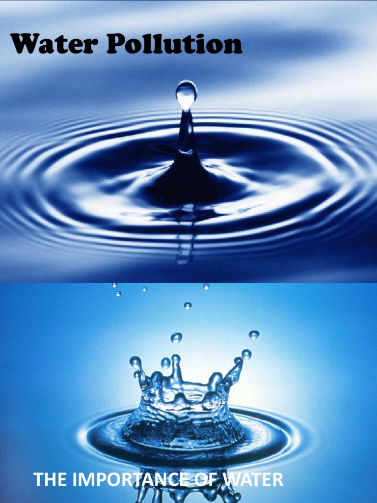 Water Pollution Presentation | PDF | Water Pollution | Sewage Treatment