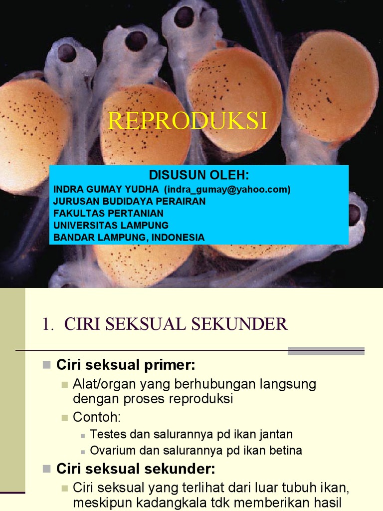 Sistem Reproduksi Ikan Betina dan Jantan | PDF