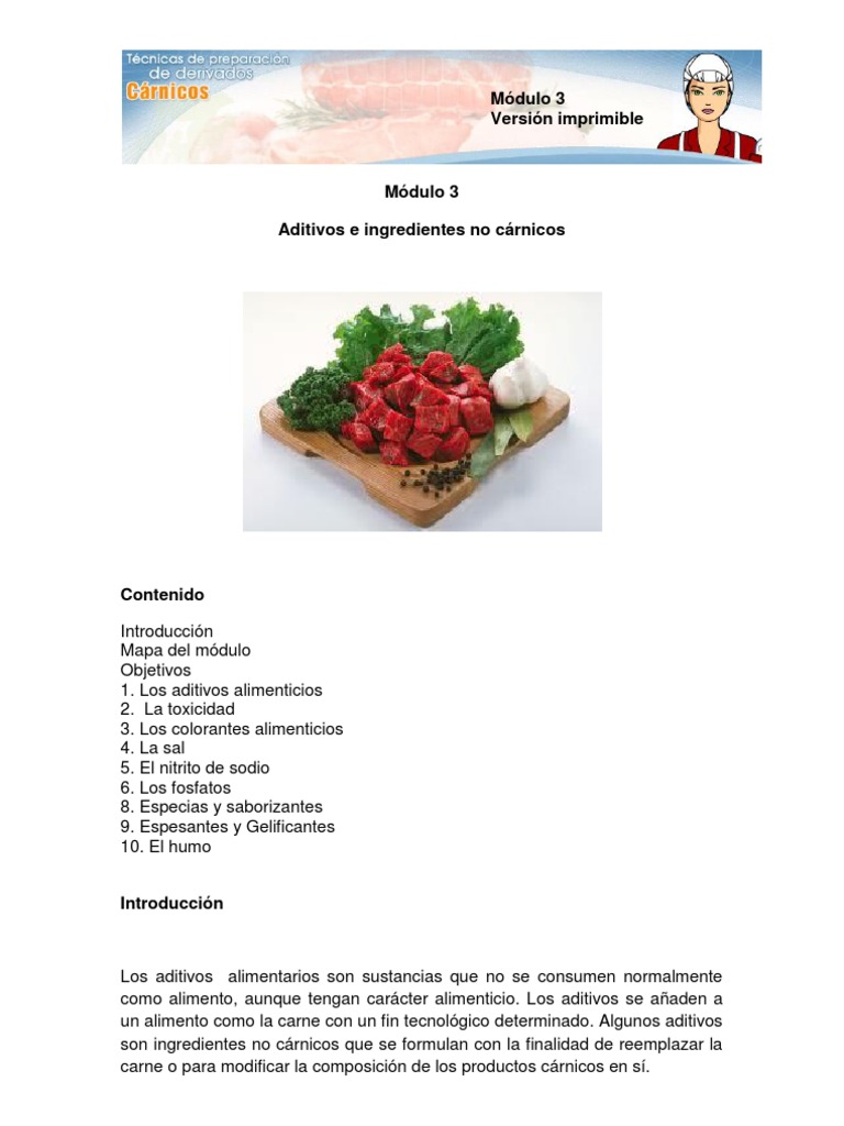 Impri Tecnicarnes Mod3 | PDF | Bienestar