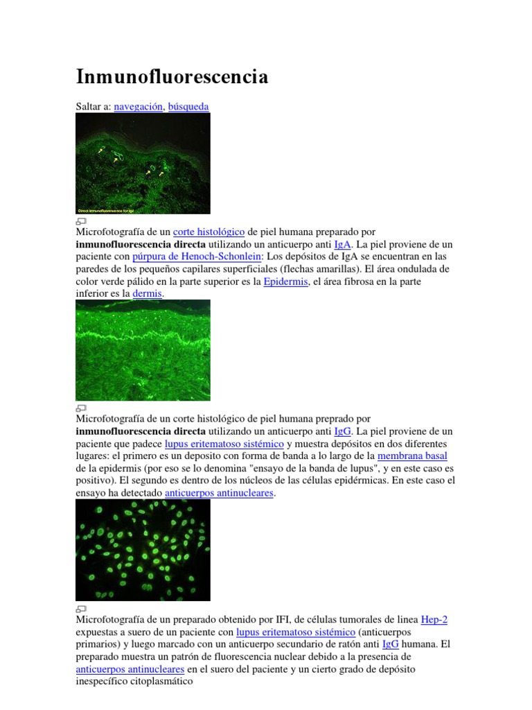Inmunofluorescencia | PDF | Inmunofluorescencia | Biología Celular