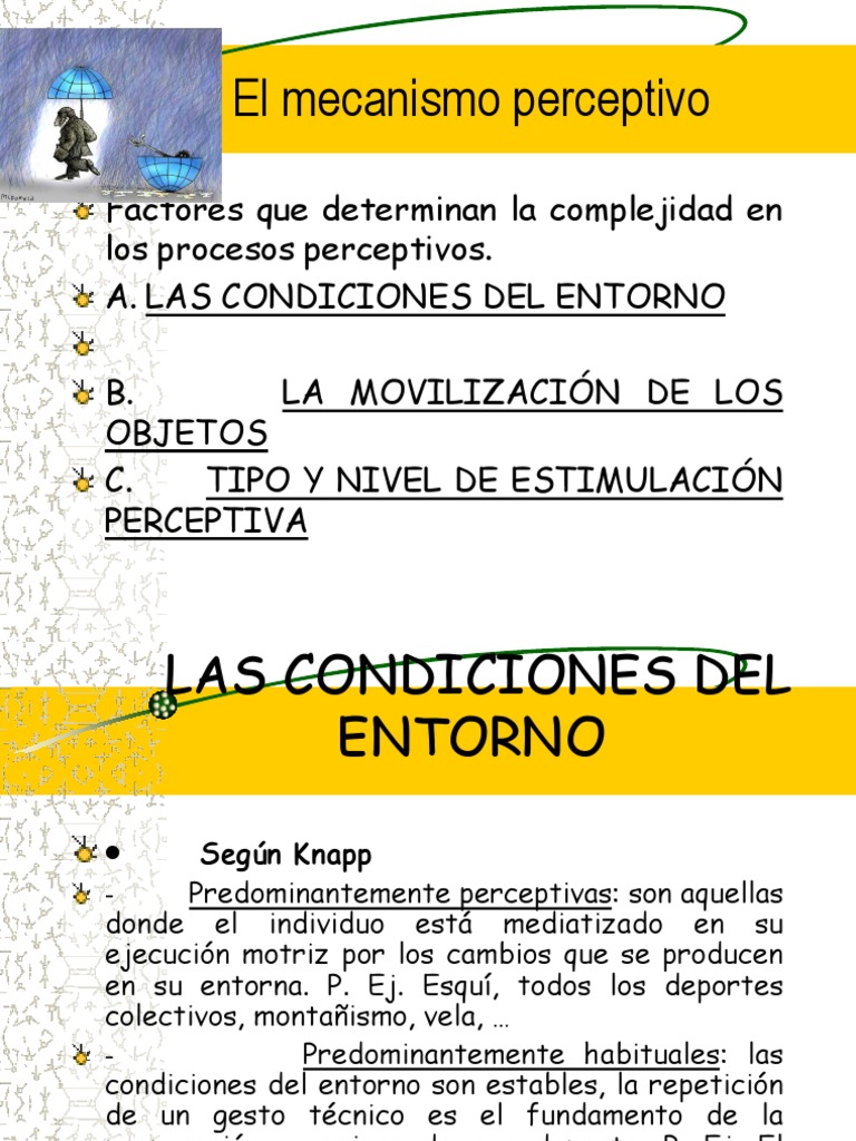 El mecanismo perceptivo.ppt | Toma de decisiones | Percepción | Prueba ...