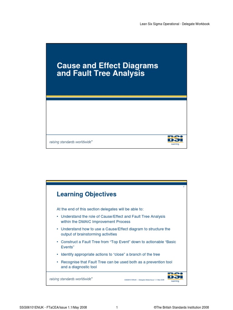 12 Cause N Effect N FTA | PDF | Six Sigma | Business