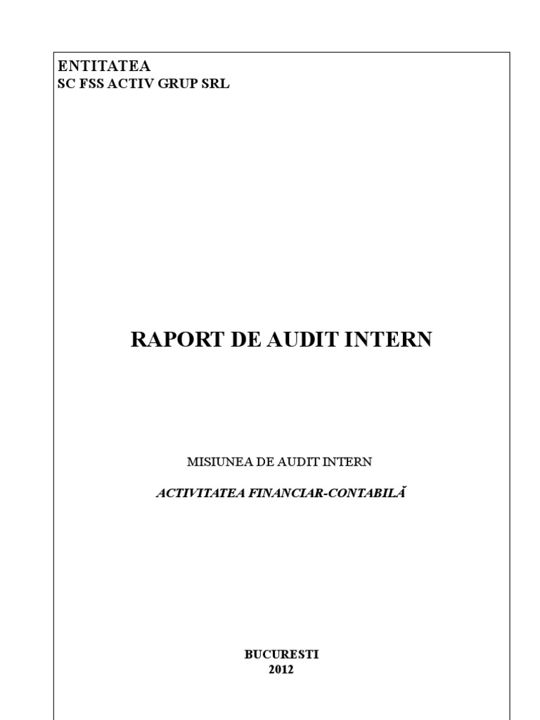 Raport Audit | PDF