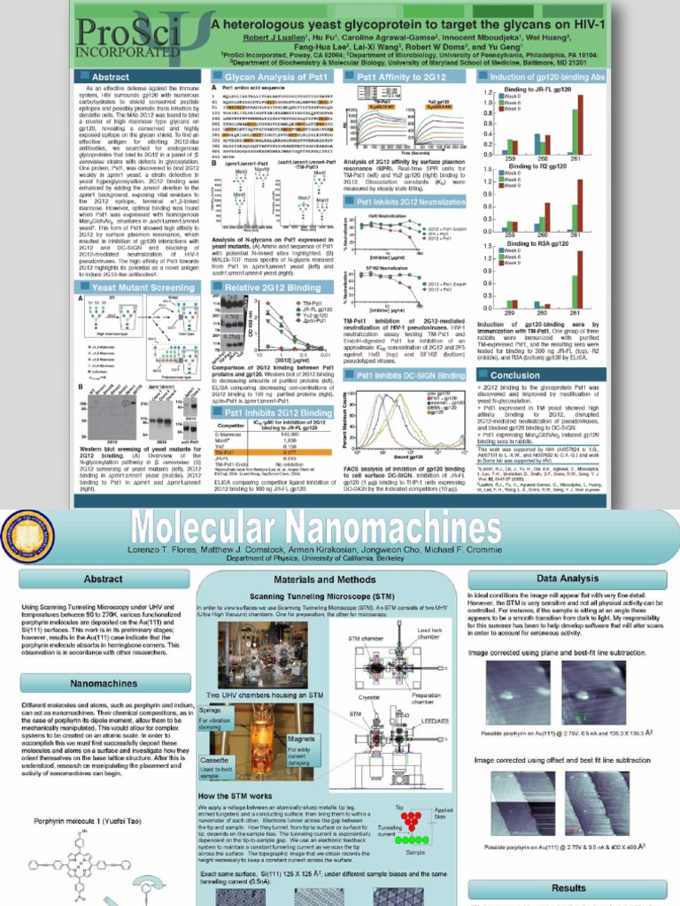 Examples of Research Posters | PDF | Meta Analysis | Disability