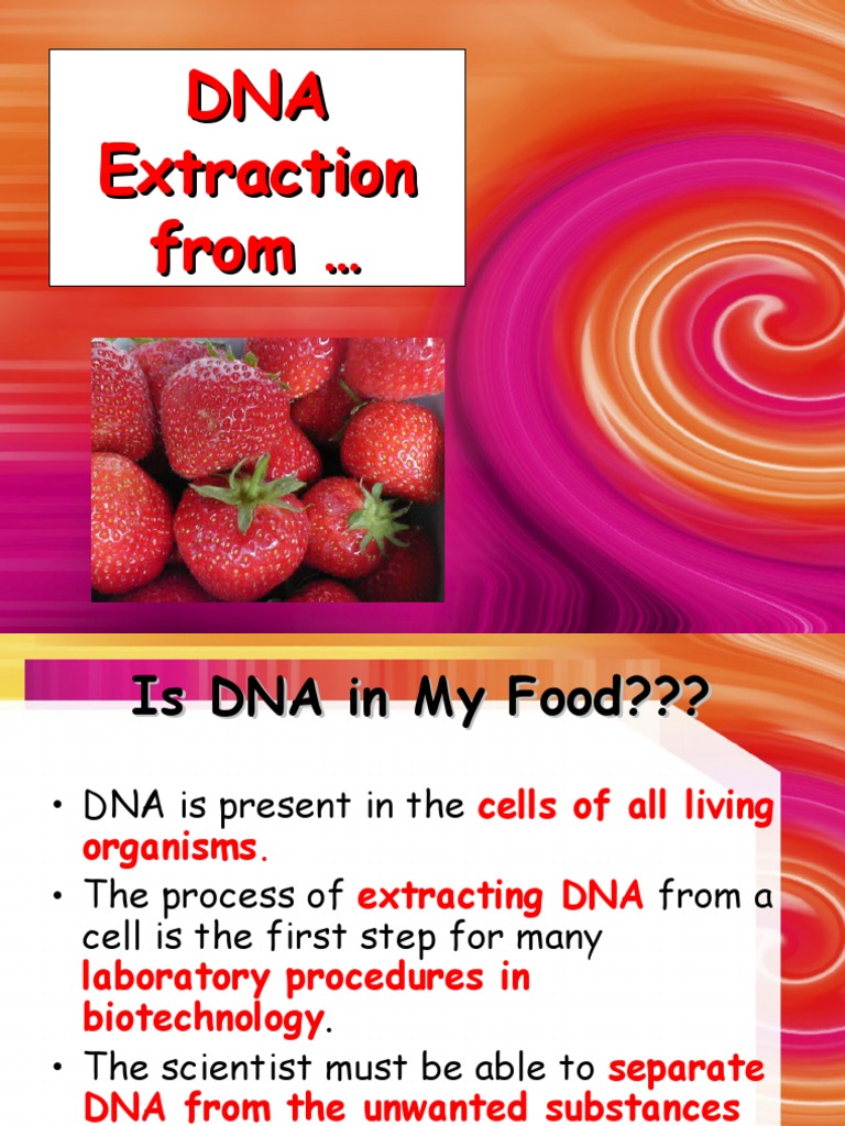 Strawberry DNA Extraction Guide | PDF | Cell Nucleus | Cell (Biology)