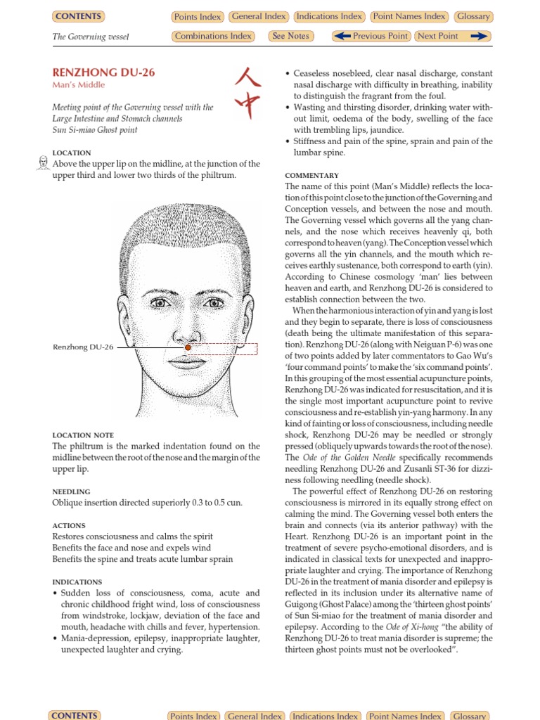 Du 26 | PDF | Yin And Yang | Acupuncture