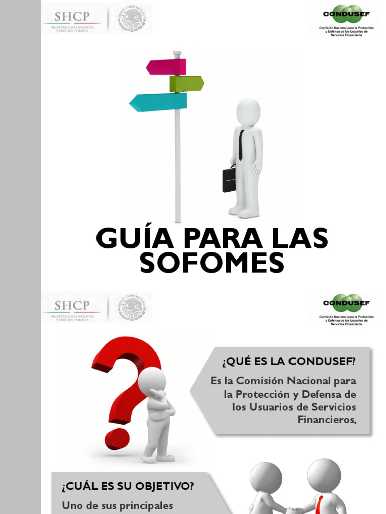 Guía Completa Para Sofomes Y Condusef Pdf Bancos Interés