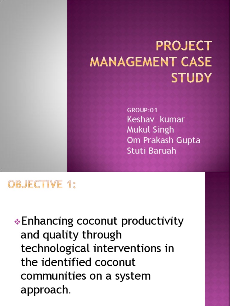 Project Management Case Study | PDF