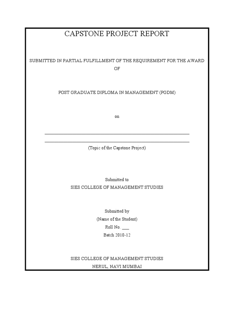 Capstone Project (PGDM) | PDF