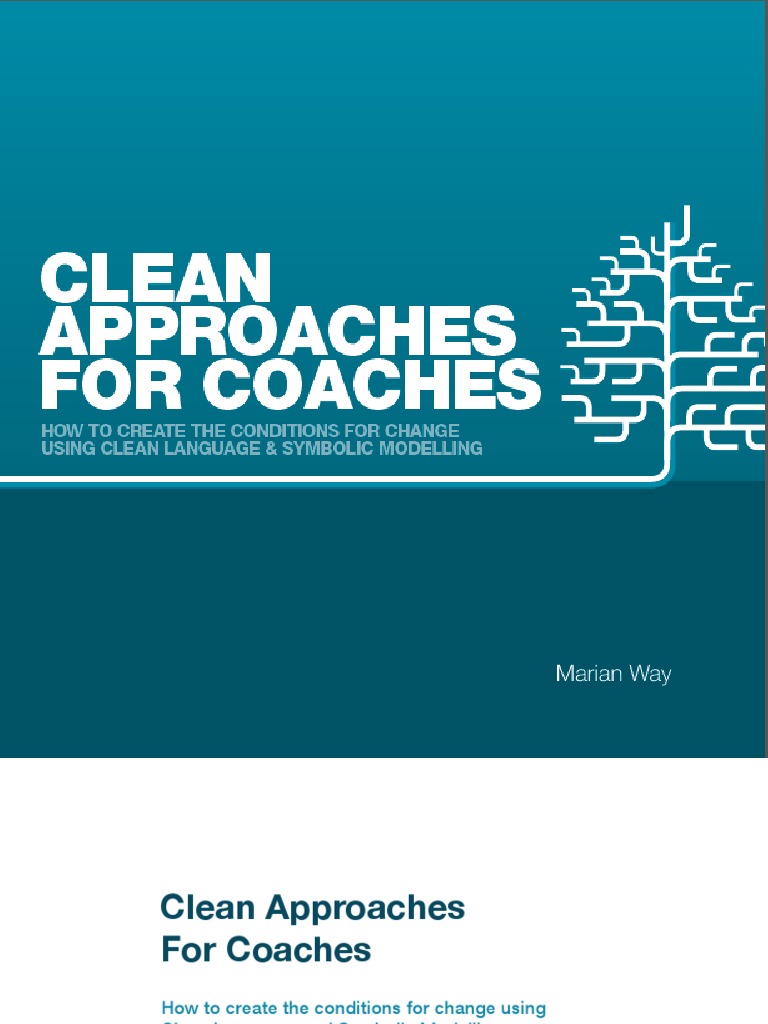 Clean Approaches For Coaches | PDF | Neuro Linguistic Programming ...