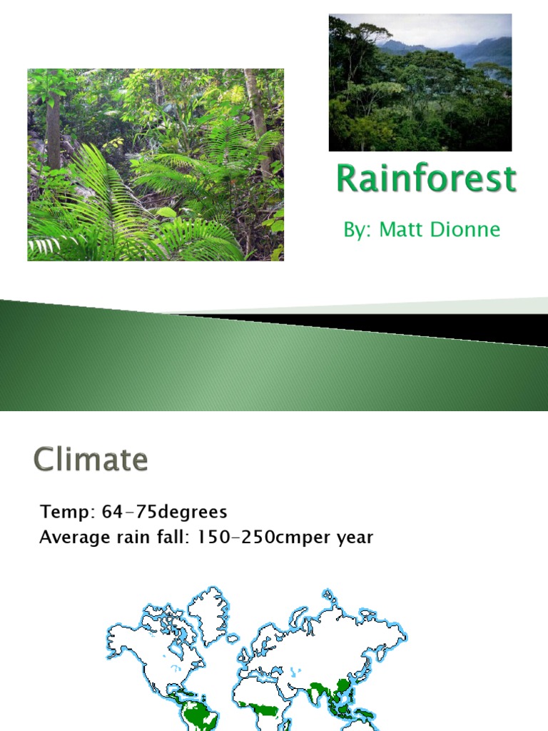 Rainforest | PDF | Home & Garden