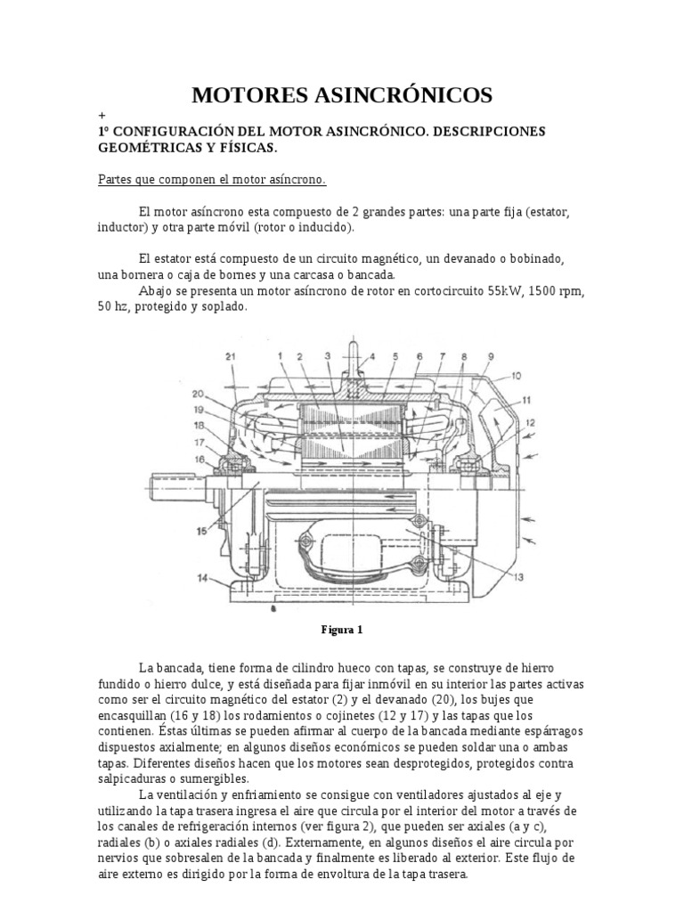 Motores Asincrónicos | PDF | Inductor | Motor eléctrico