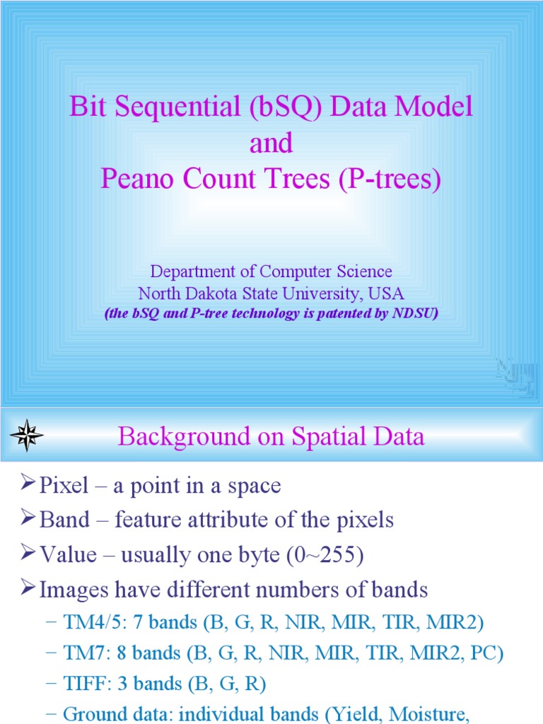 Bit Sequential (BSQ) Data Model and Peano Count Trees (P-Trees) | PDF ...