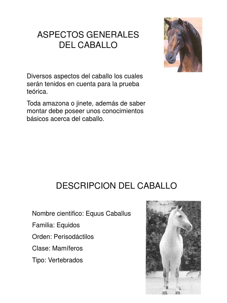 Características y descripción del caballo | PDF | Caballos | Naturaleza