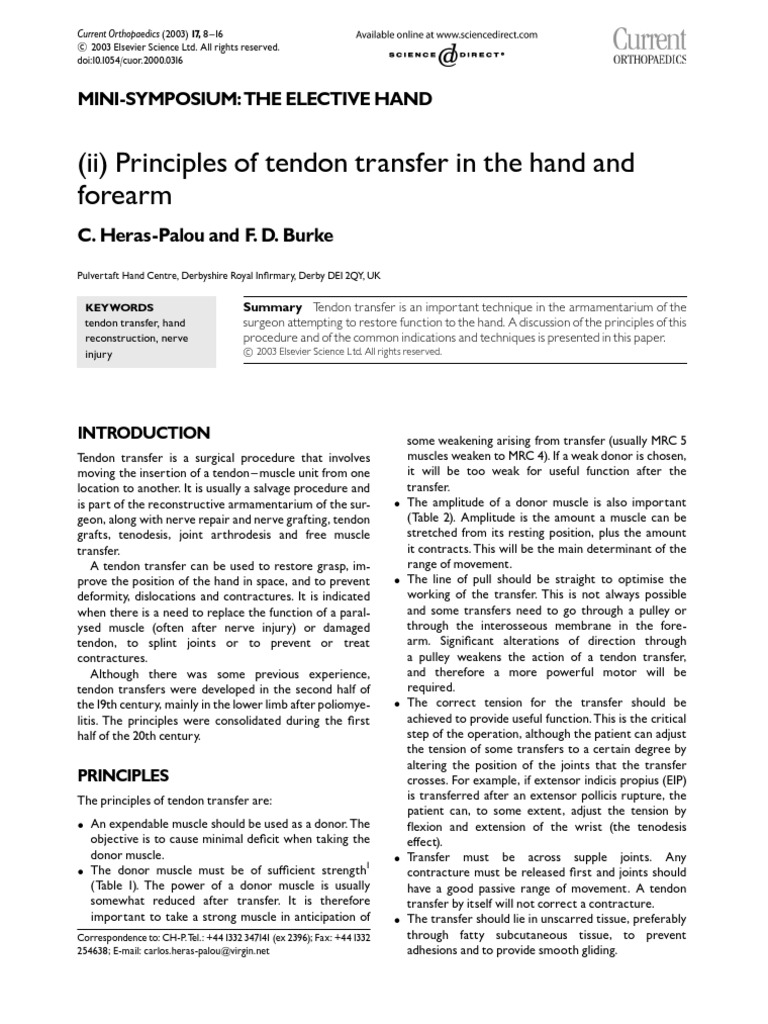 Principles of Tendon Transfer in The Hand and Forearm | PDF | Thumb | Hand