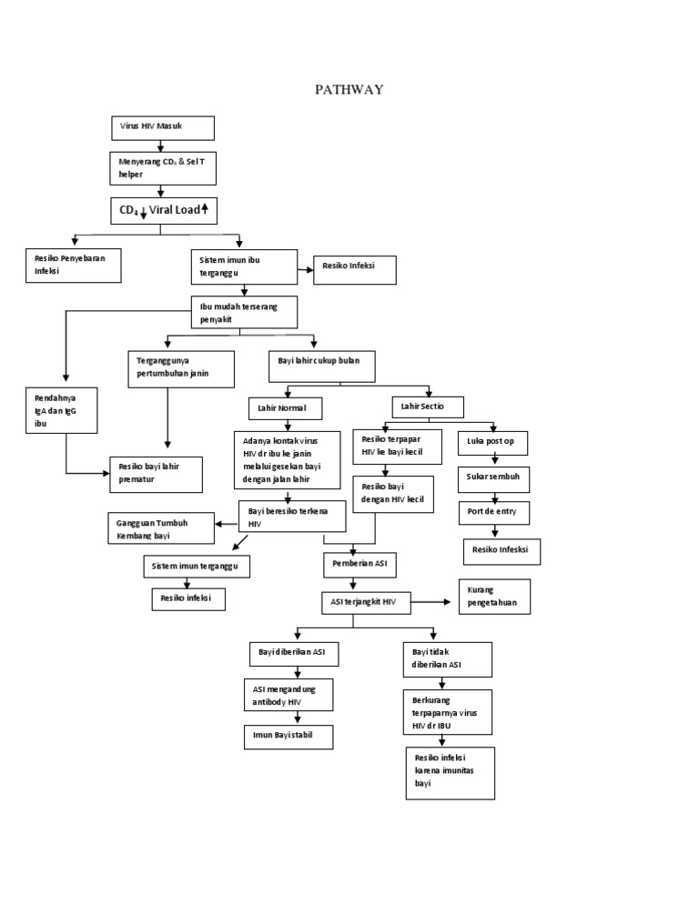 PATHWAY Hiv Bumil | PDF