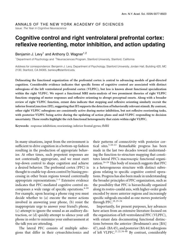 Levy and Wagner, 2011 | PDF | Prefrontal Cortex | Executive Functions