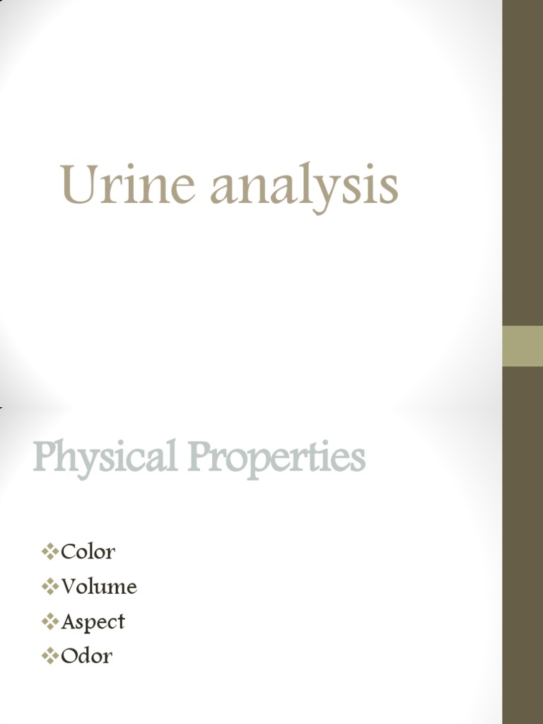 Urine Analysis | PDF | Kidney | Urinary System