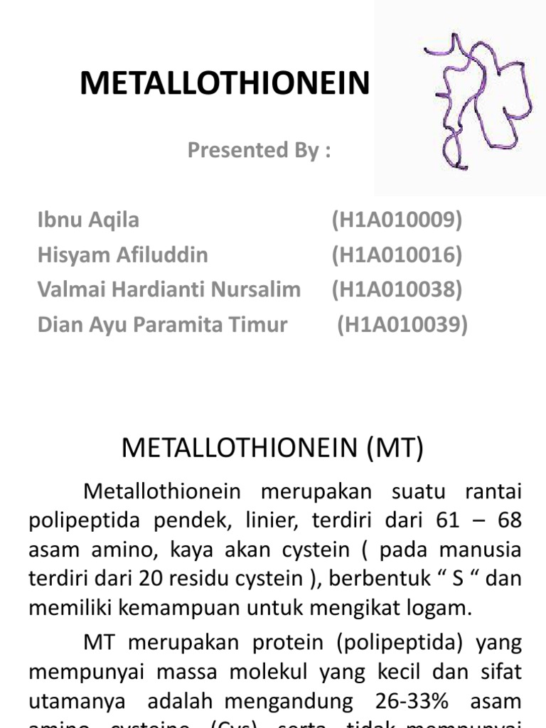 METALLOTHIONEIN | PDF