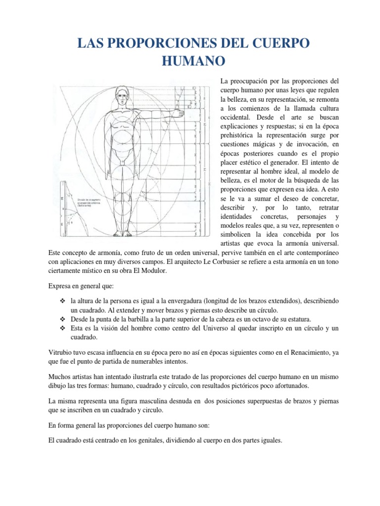 Las Proporciones Del Cuerpo Humano Pdf Longitud Armonía