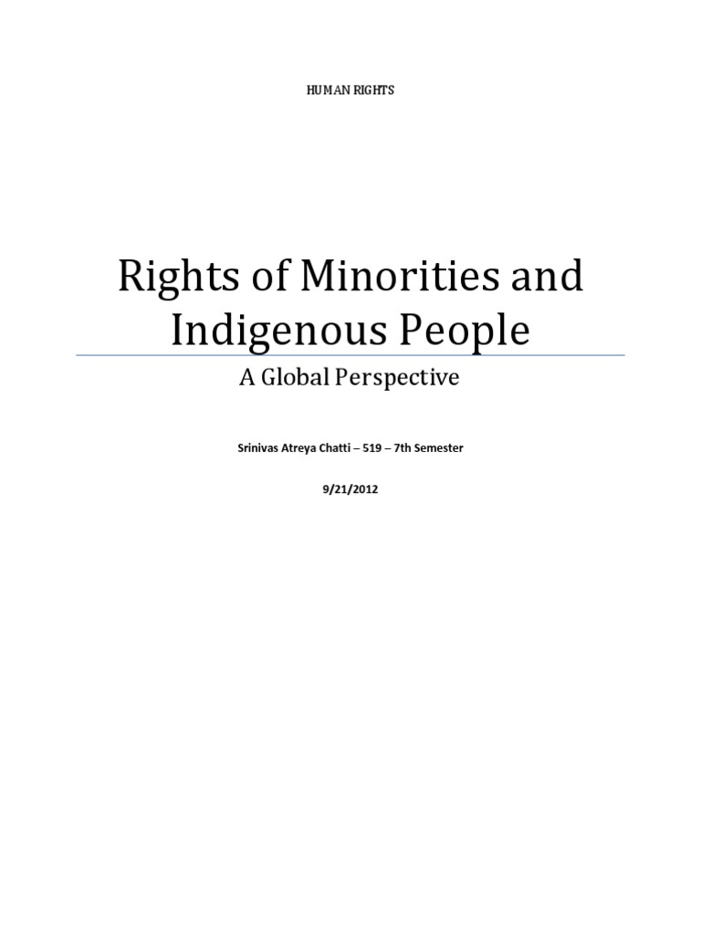 Minority Rights: A Global Overview | PDF | Minority Group | European ...