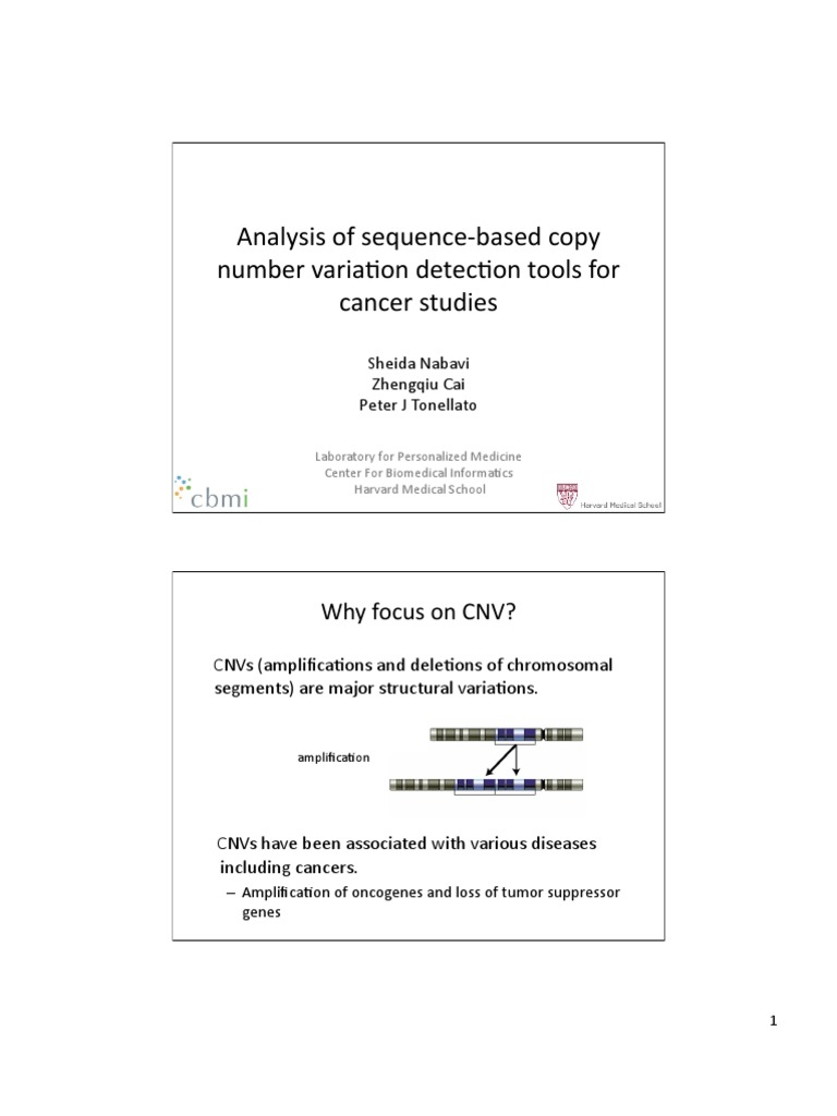 Analysis Of Sequence Based Copy Number Variation Detection Tools For