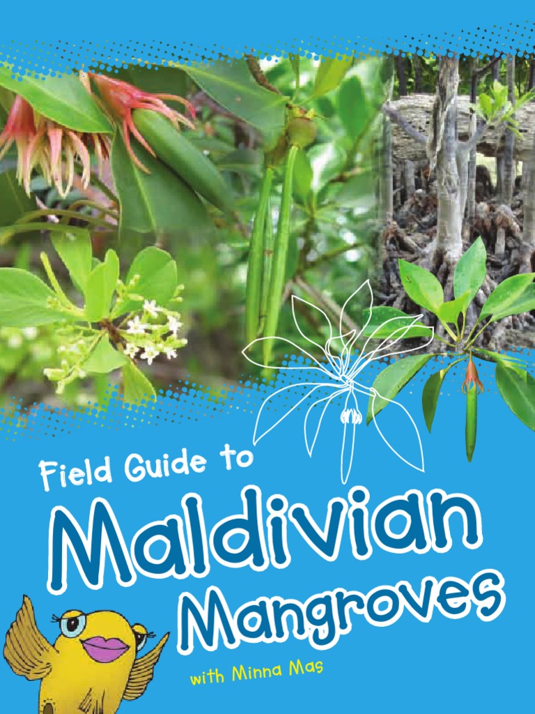 Mangroves Guide Maldiva | PDF | Mangrove | Trees